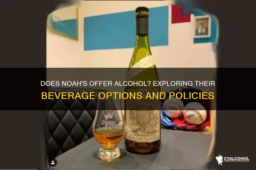 Does Noah's Offer Alcohol? Exploring Their Beverage Options And ...