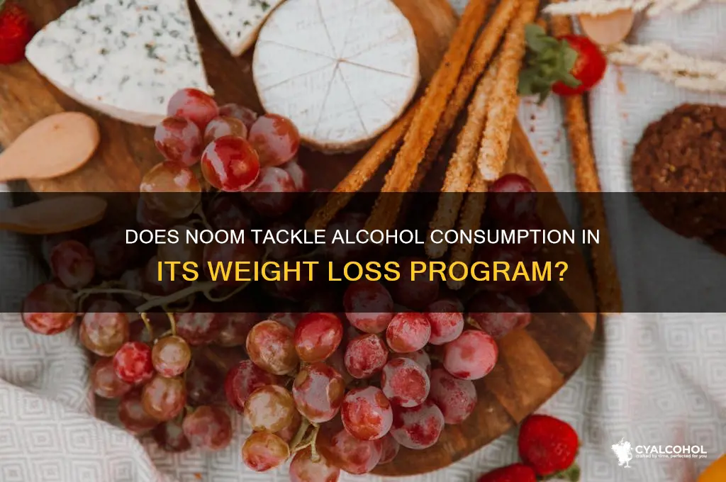 Does Noom Tackle Alcohol Consumption In Its Weight Loss Program ...
