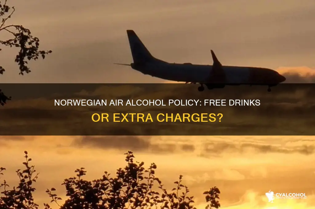 Norwegian Air Alcohol Policy: Free Drinks Or Extra Charges? | CyAlcohol