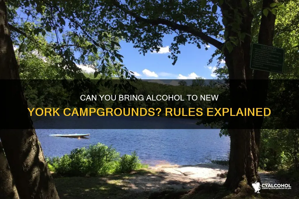 Can You Bring Alcohol To New York Campgrounds? Rules Explained | CyAlcohol