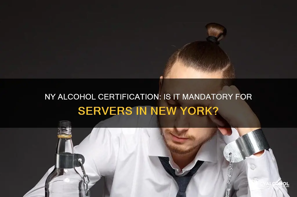 Ny Alcohol Certification: Is It Mandatory For Servers In New York ...