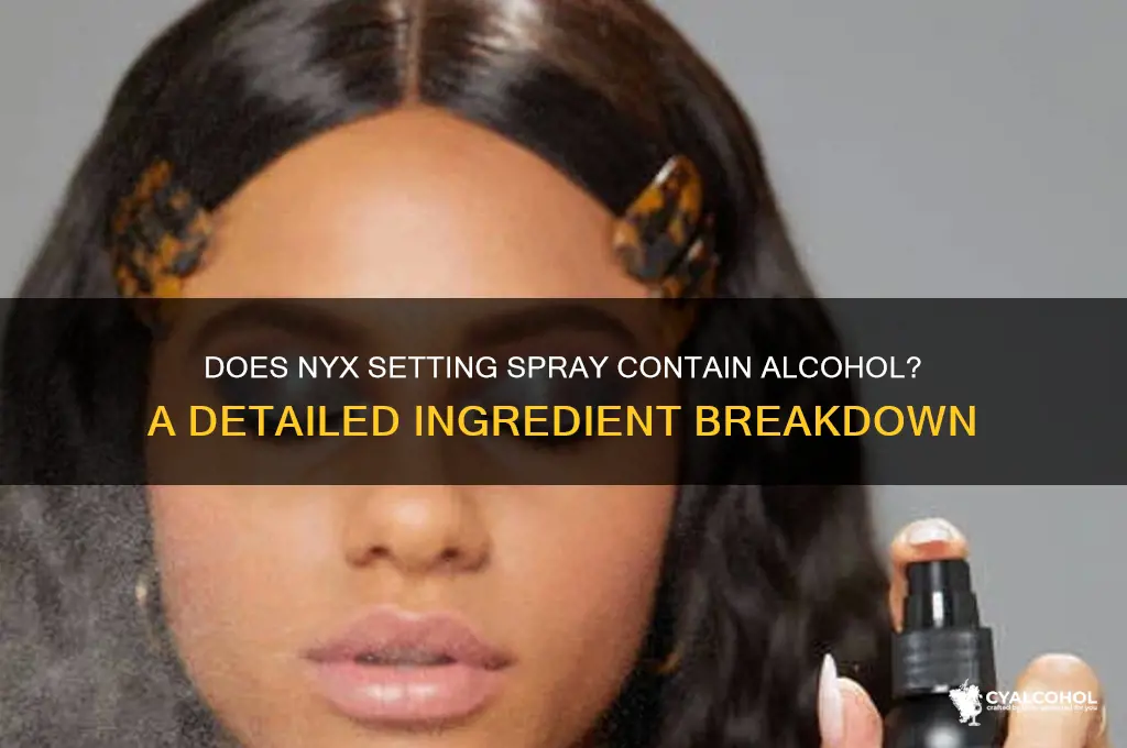 Does Nyx Setting Spray Contain Alcohol? A Detailed Ingredient Breakdown ...