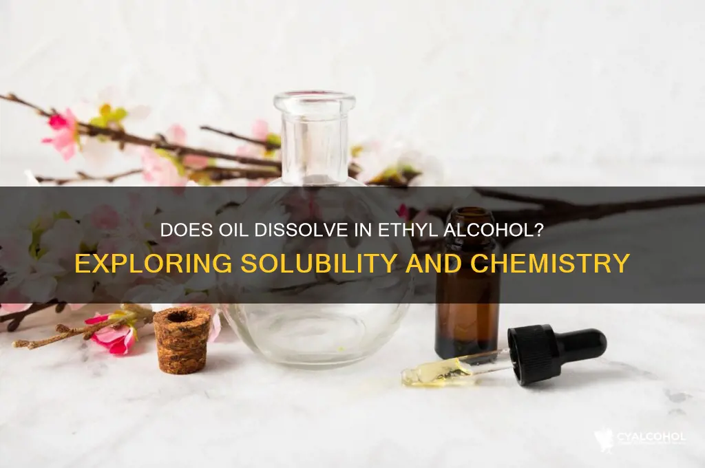 Does Oil Dissolve In Ethyl Alcohol? Exploring Solubility And Chemistry ...