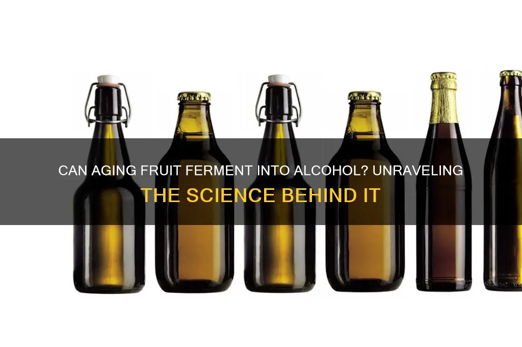 Can Aging Fruit Ferment Into Alcohol? Unraveling The Science Behind It ...