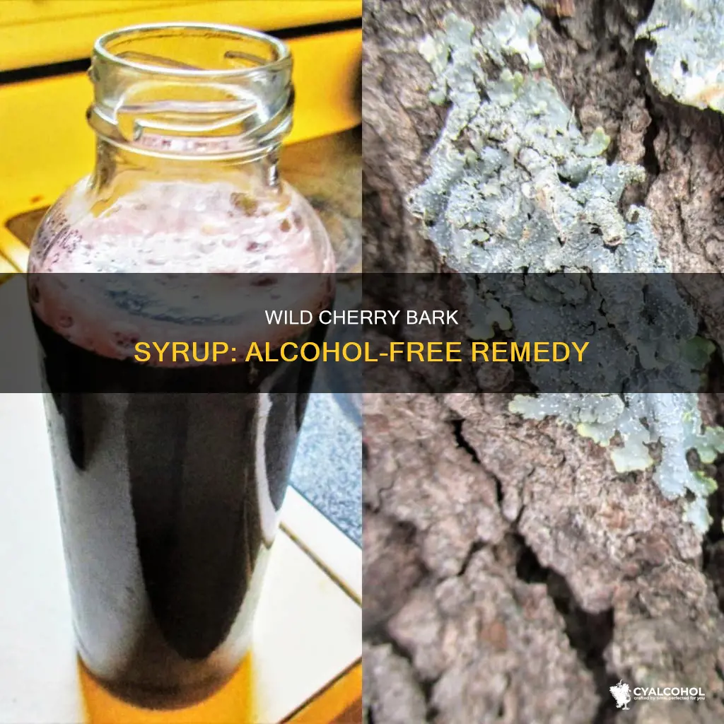 Wild Cherry Bark Syrup: Alcohol-Free Remedy | CyAlcohol