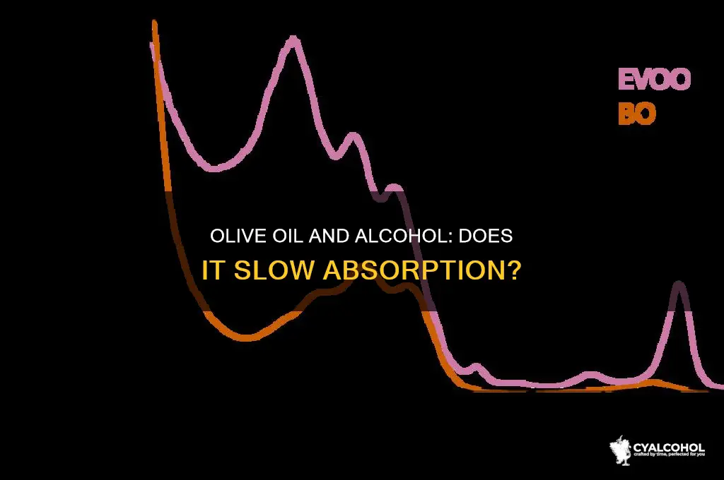 Olive Oil And Alcohol: Does It Slow Absorption? | CyAlcohol