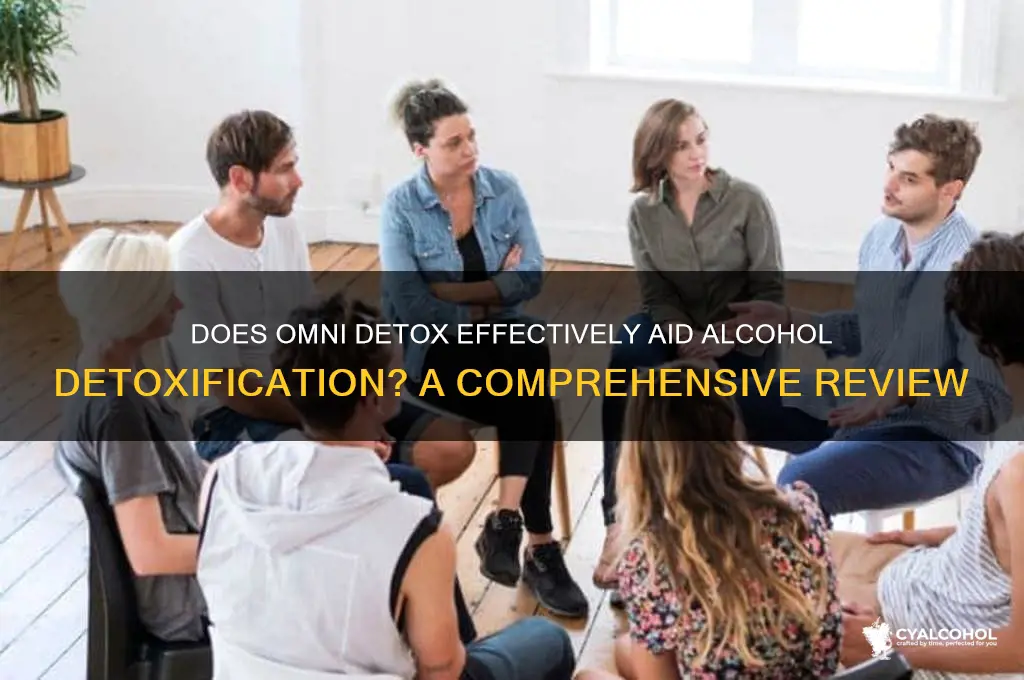 Does Omni Detox Effectively Aid Alcohol Detoxification? A Comprehensive ...