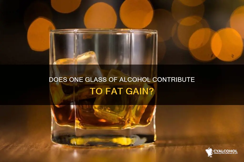 Does One Glass Of Alcohol Contribute To Fat Gain? | CyAlcohol