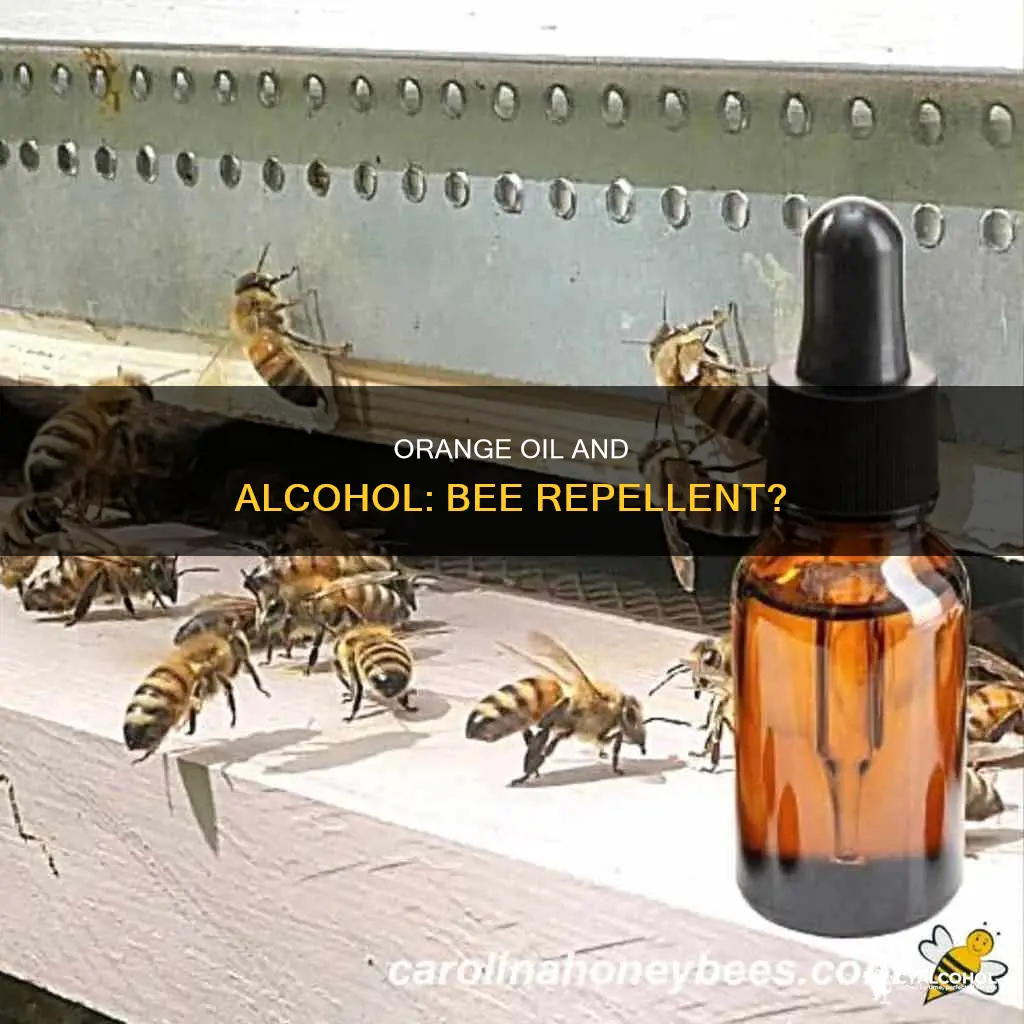 Orange Oil And Alcohol: Bee Repellent? | CyAlcohol
