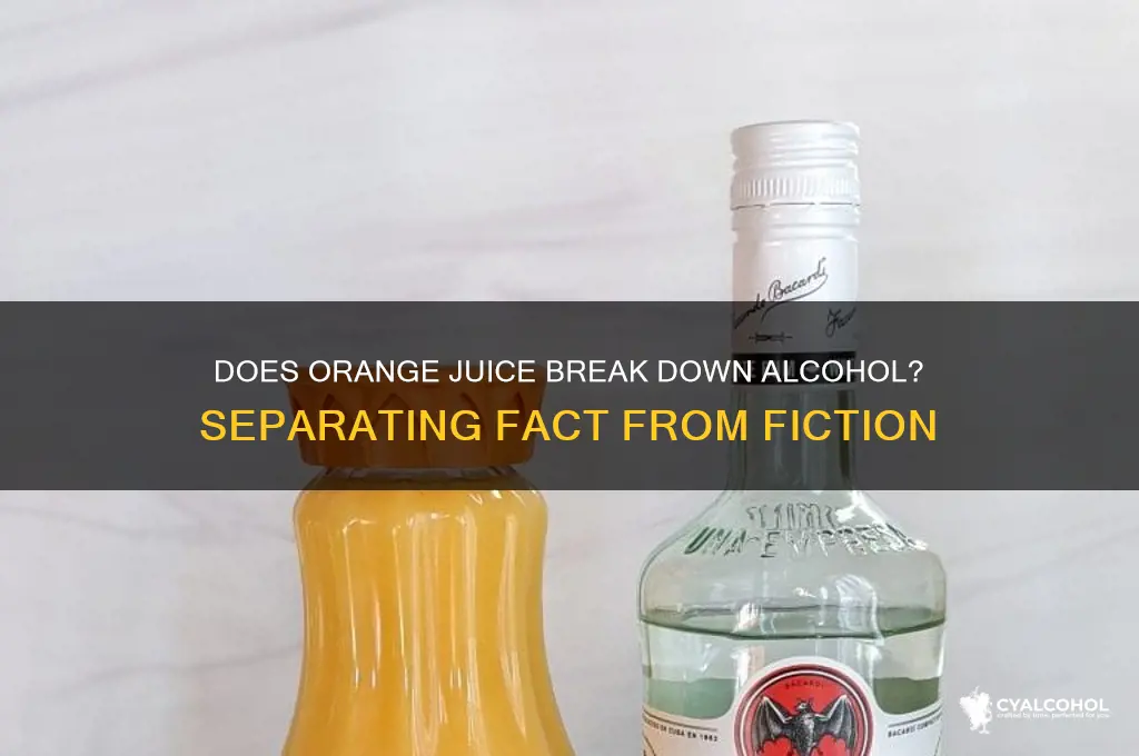 Does Orange Juice Break Down Alcohol? Separating Fact From Fiction ...