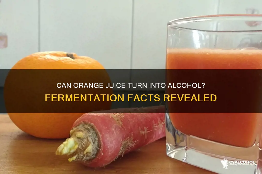 Can Orange Juice Turn Into Alcohol? Fermentation Facts Revealed | CyAlcohol