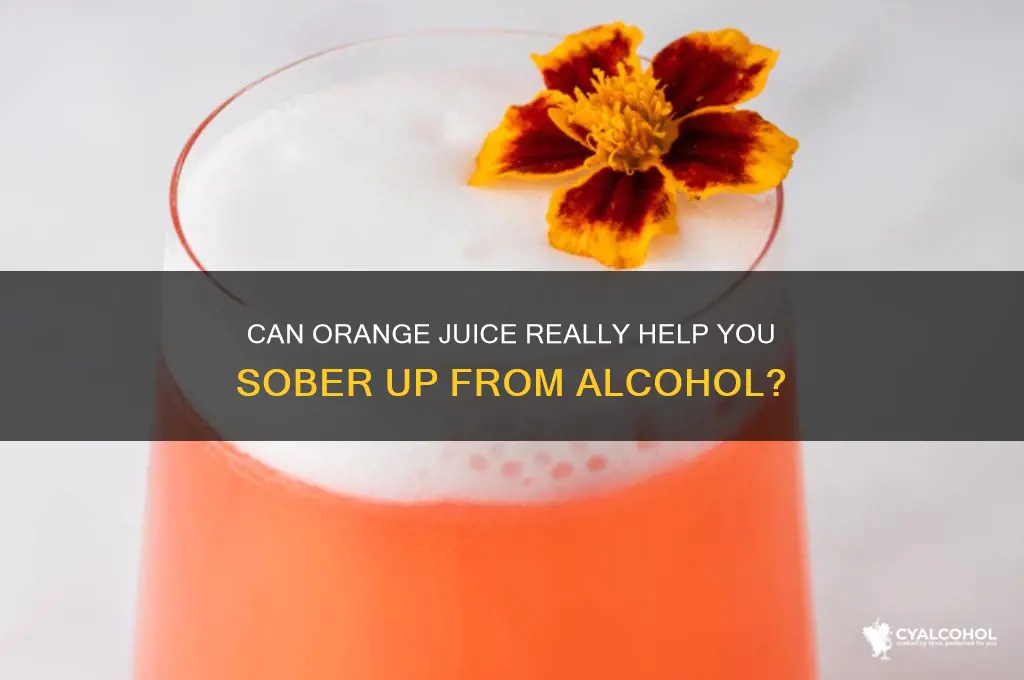 Can Orange Juice Really Help You Sober Up From Alcohol? | CyAlcohol