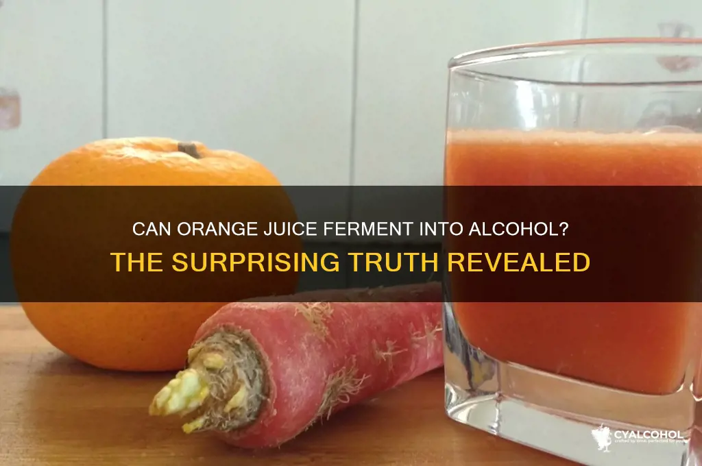 Can Orange Juice Ferment Into Alcohol? The Surprising Truth Revealed ...