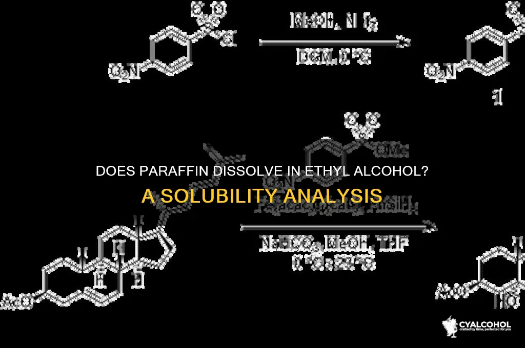 Does Paraffin Dissolve In Ethyl Alcohol? A Solubility Analysis | CyAlcohol