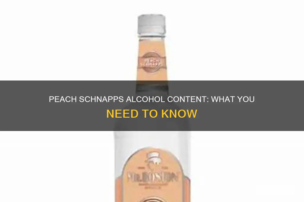Peach Schnapps Alcohol Content: What You Need To Know | CyAlcohol
