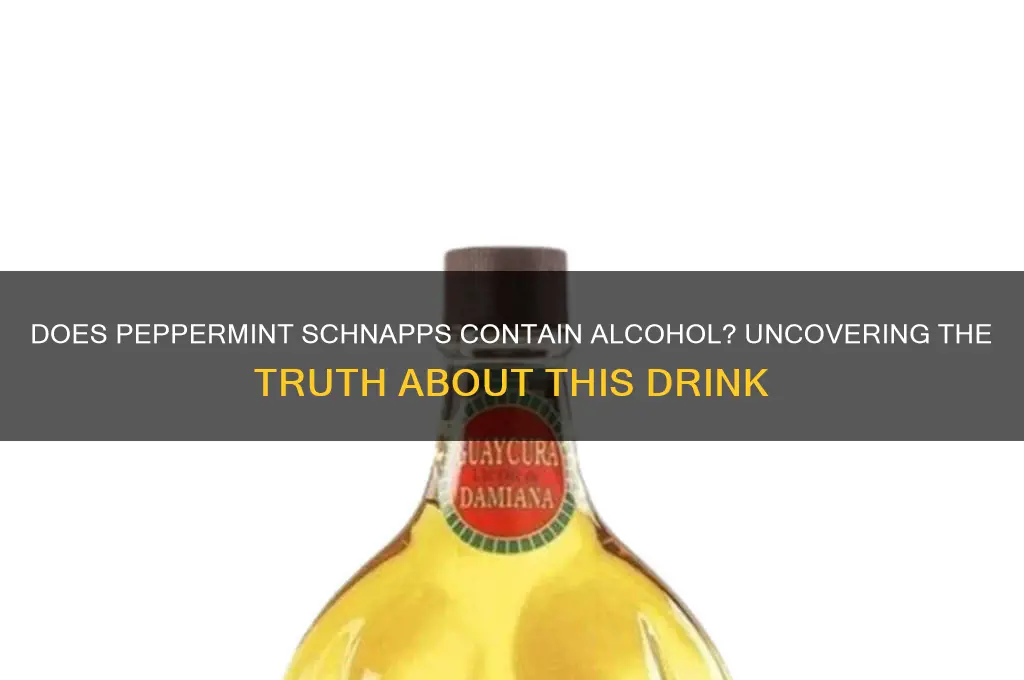 Does Peppermint Schnapps Contain Alcohol? Uncovering The Truth About ...