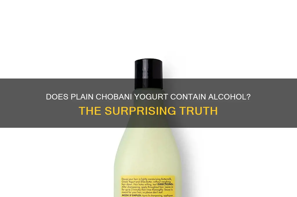 Does Plain Chobani Yogurt Contain Alcohol? The Surprising Truth | CyAlcohol