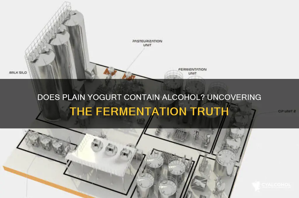 Does Plain Yogurt Contain Alcohol? Uncovering The Fermentation Truth ...