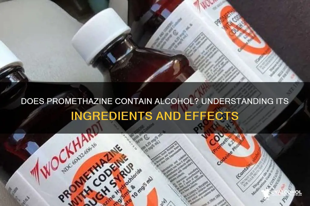 Does Promethazine Contain Alcohol? Understanding Its Ingredients And ...