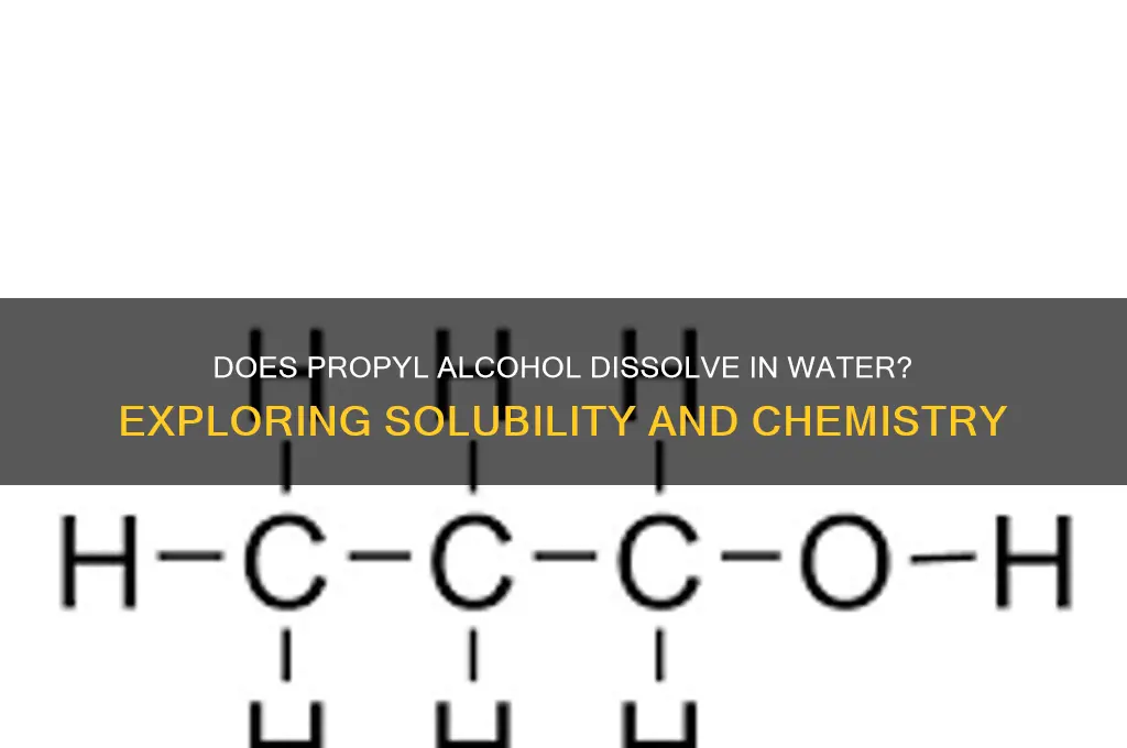 Does Propyl Alcohol Dissolve In Water? Exploring Solubility And ...
