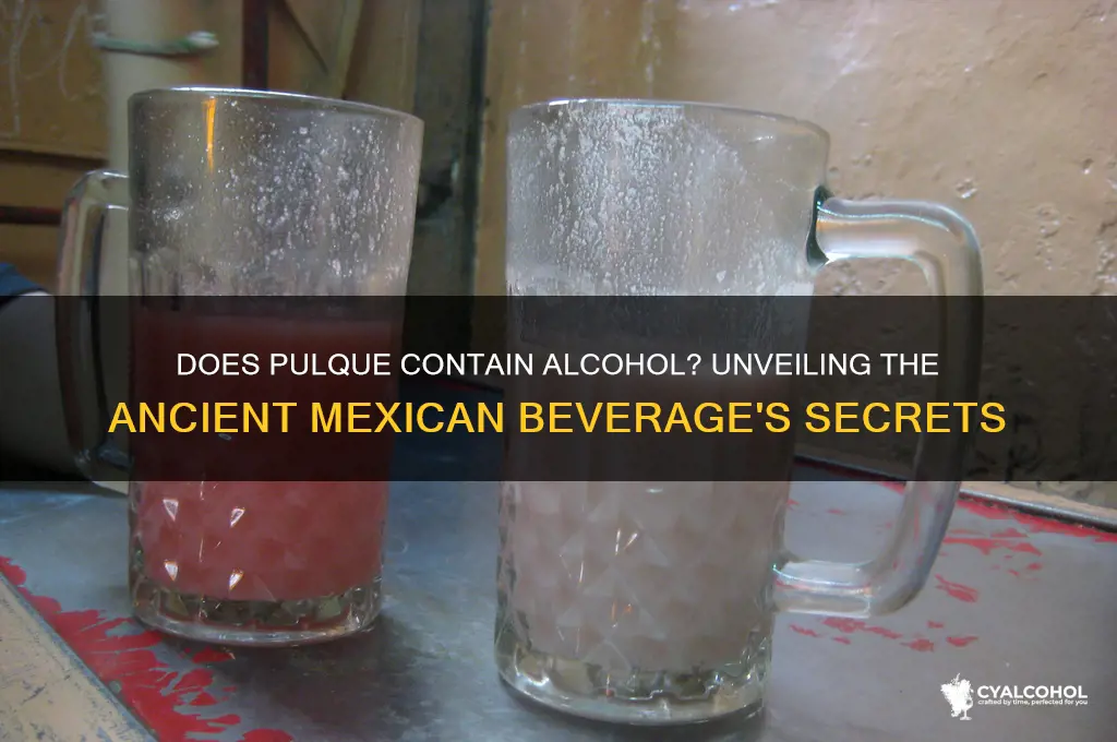 Does Pulque Contain Alcohol? Unveiling The Ancient Mexican Beverage's ...
