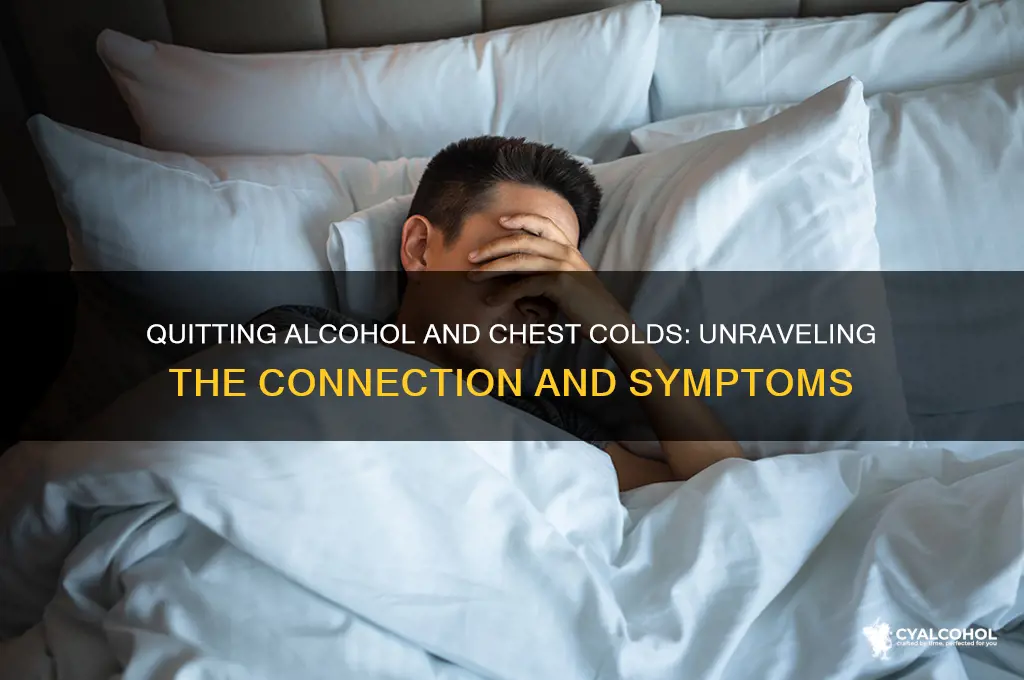 Quitting Alcohol And Chest Colds: Unraveling The Connection And ...