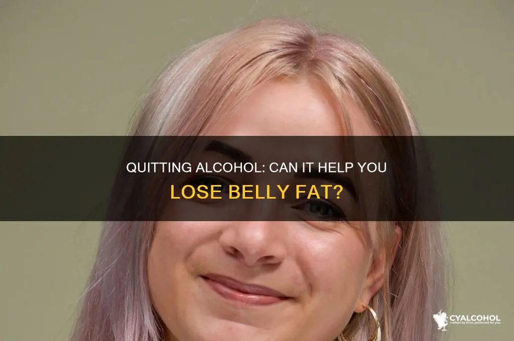 Quitting Alcohol: Can It Help You Lose Belly Fat? | CyAlcohol