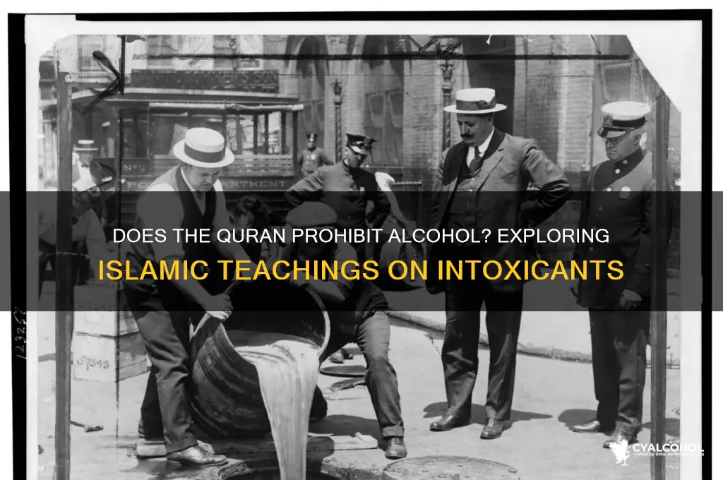 Does The Quran Prohibit Alcohol? Exploring Islamic Teachings On ...