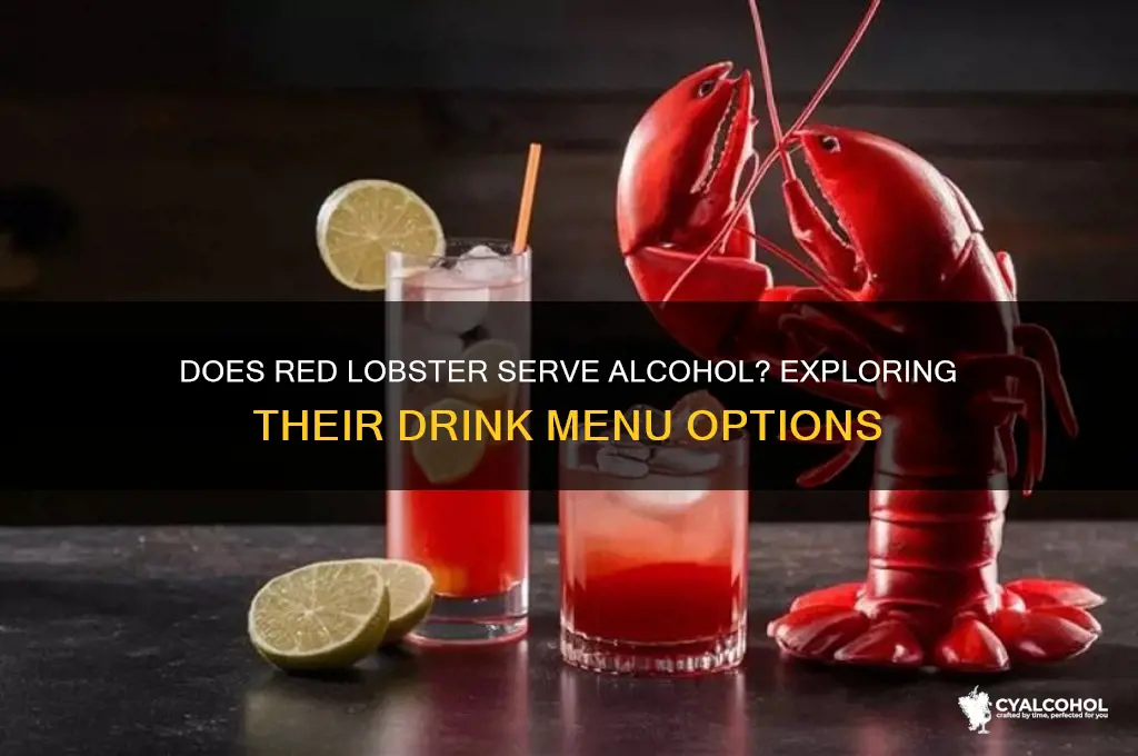 Does Red Lobster Serve Alcohol? Exploring Their Drink Menu Options ...