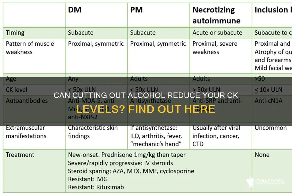 Can Cutting Out Alcohol Reduce Your Ck Levels? Find Out Here | CyAlcohol