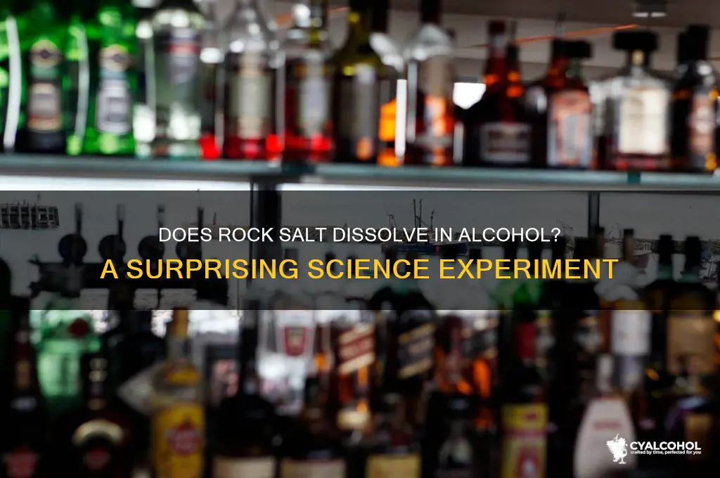 Does Rock Salt Dissolve In Alcohol? A Surprising Science Experiment ...