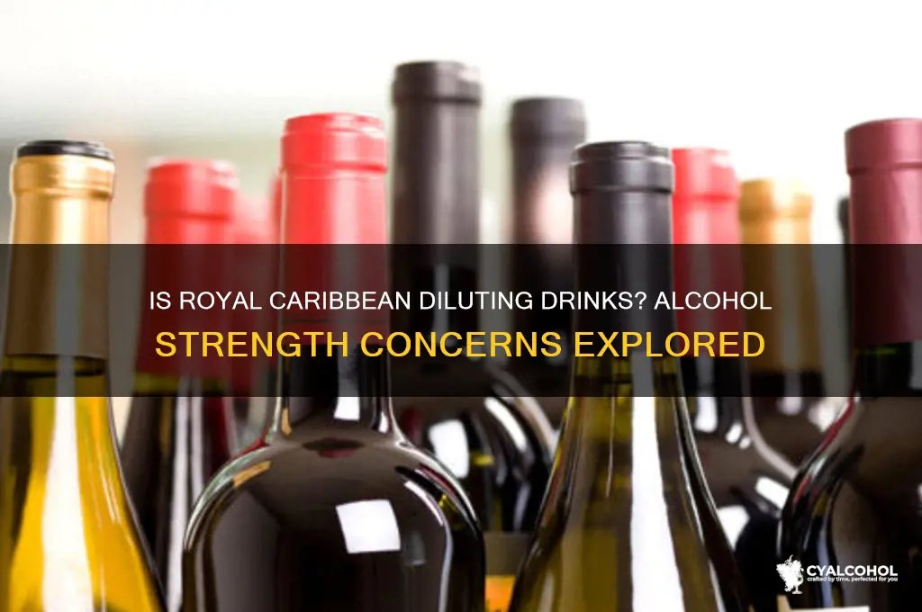 Is Royal Caribbean Diluting Drinks? Alcohol Strength Concerns Explored ...