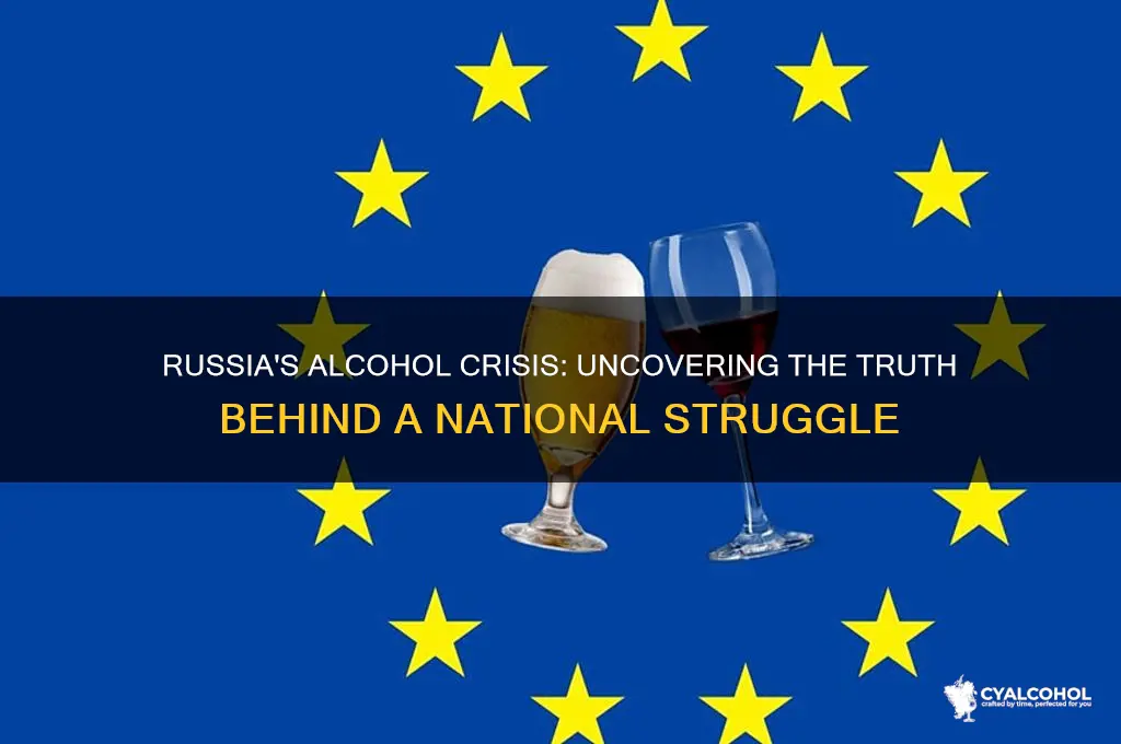 Russia's Alcohol Crisis: Uncovering The Truth Behind A National ...