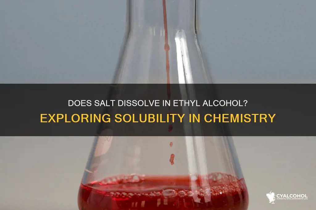 Does Salt Dissolve In Ethyl Alcohol? Exploring Solubility In Chemistry ...