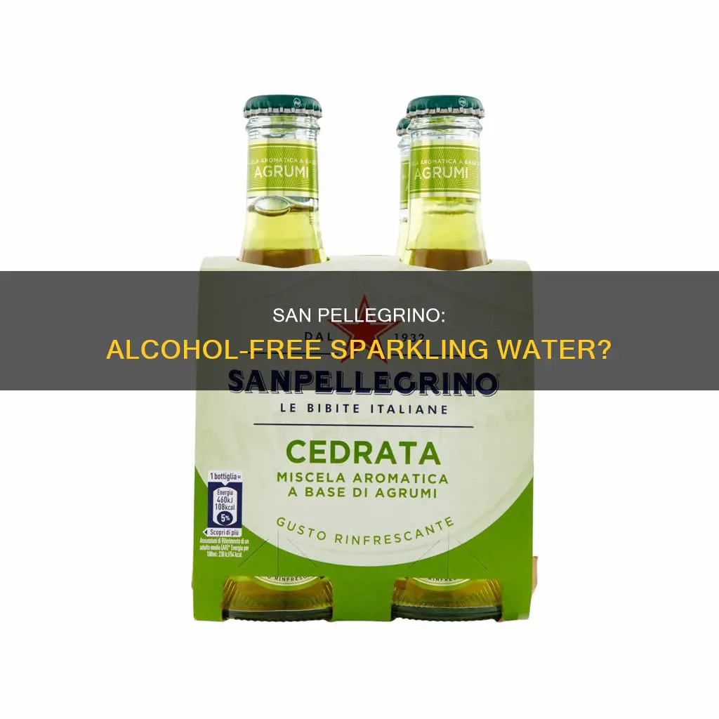 San Pellegrino: Alcohol-Free Sparkling Water? | CyAlcohol