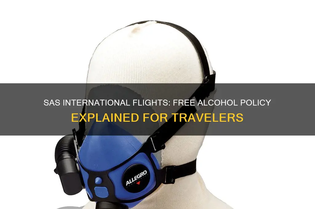 Sas International Flights: Free Alcohol Policy Explained For Travelers ...