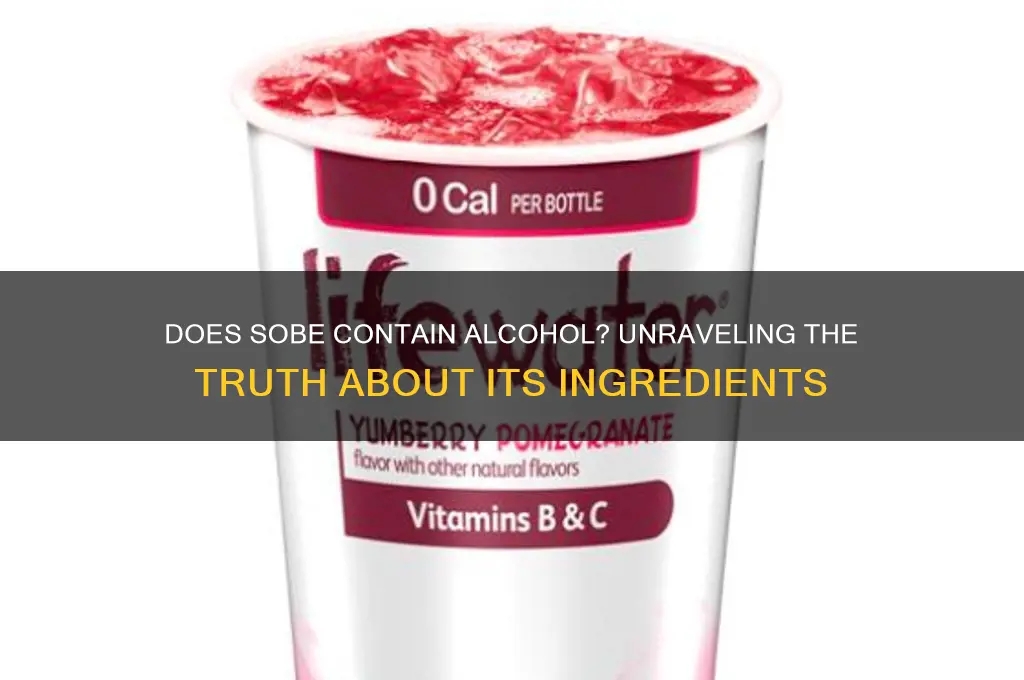 Does Sobe Contain Alcohol? Unraveling The Truth About Its Ingredients ...