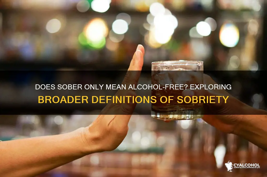 Does Sober Only Mean Alcohol-Free? Exploring Broader Definitions Of ...