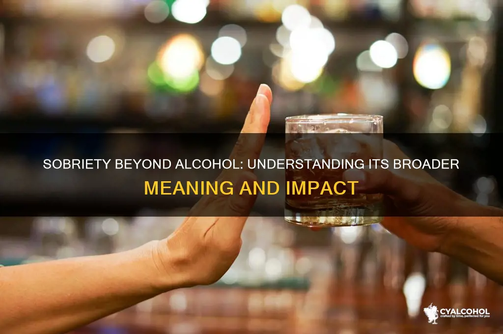 Sobriety Beyond Alcohol: Understanding Its Broader Meaning And Impact ...