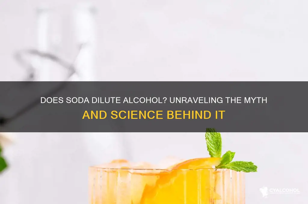 Does Soda Dilute Alcohol? Unraveling The Myth And Science Behind It ...