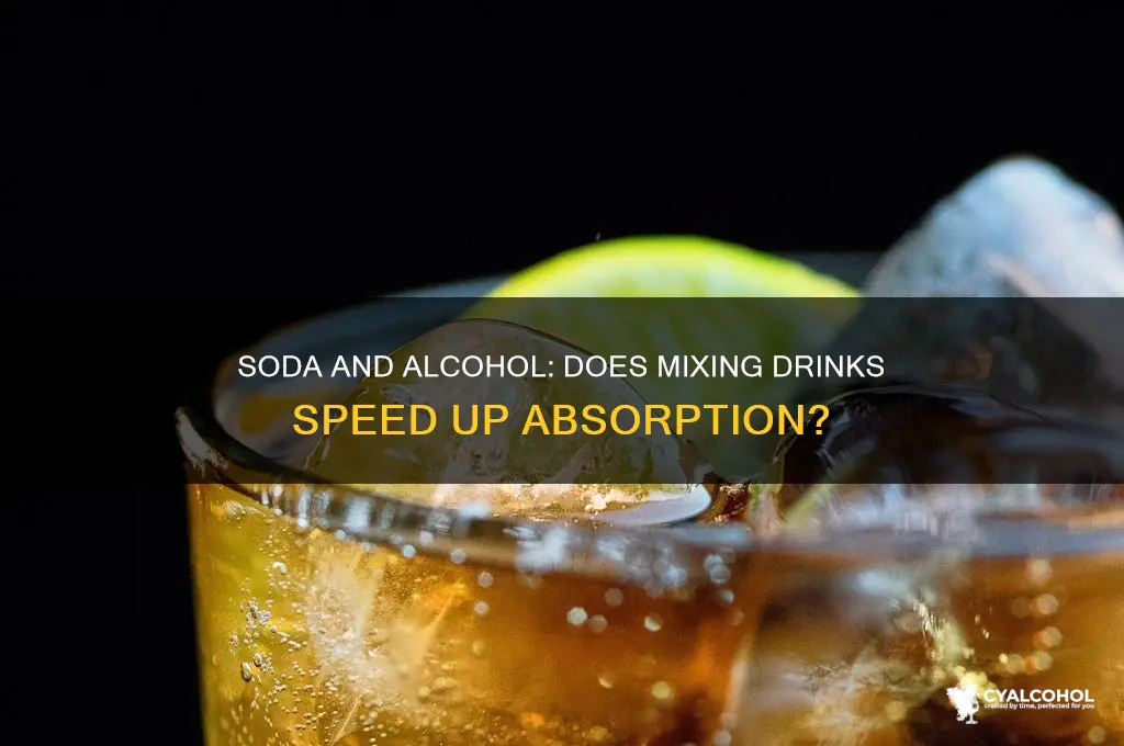 Soda And Alcohol: Does Mixing Drinks Speed Up Absorption? | CyAlcohol