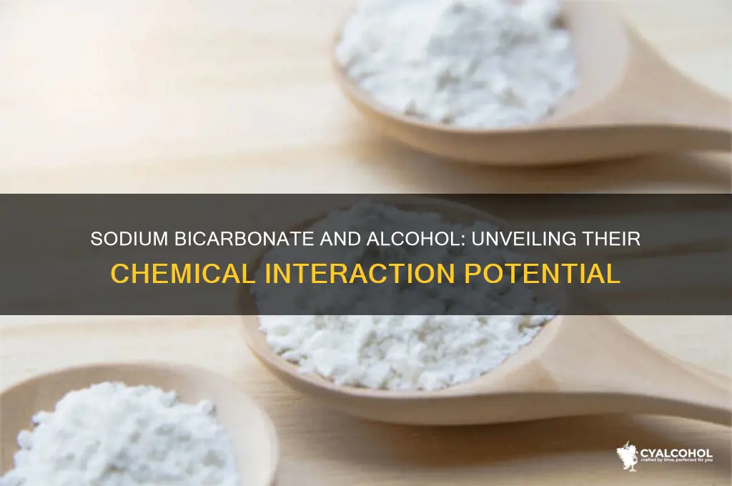 Sodium Bicarbonate And Alcohol: Unveiling Their Chemical Interaction ...