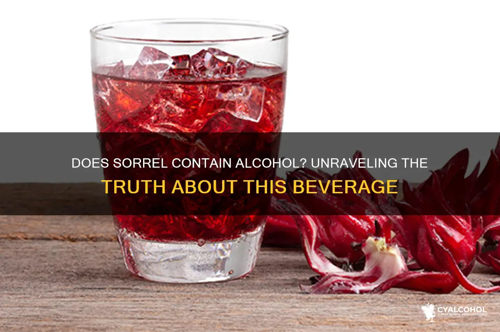 Does Sorrel Contain Alcohol? Unraveling The Truth About This Beverage ...