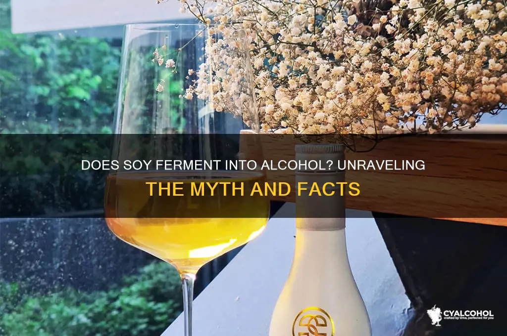 Does Soy Ferment Into Alcohol? Unraveling The Myth And Facts | CyAlcohol