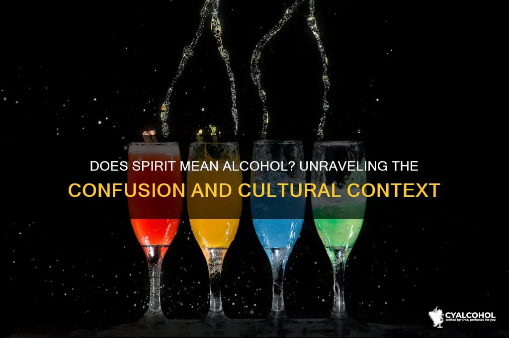 Does Spirit Mean Alcohol? Unraveling The Confusion And Cultural Context ...