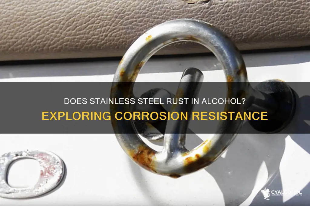 Does Stainless Steel Rust In Alcohol? Exploring Corrosion Resistance ...