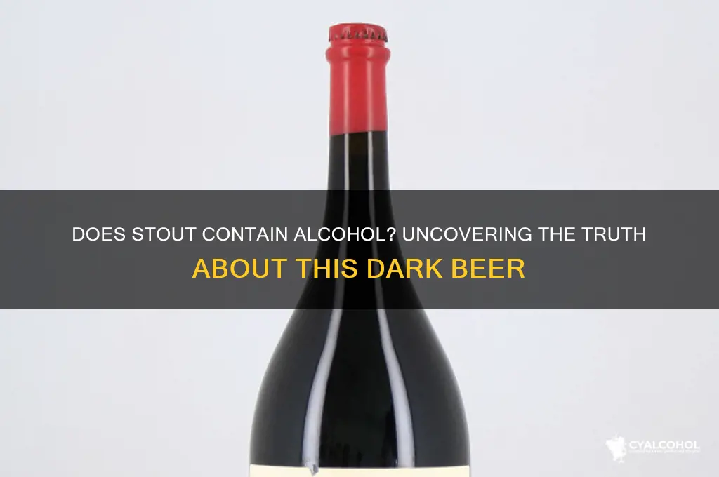 Does Stout Contain Alcohol? Uncovering The Truth About This Dark Beer ...