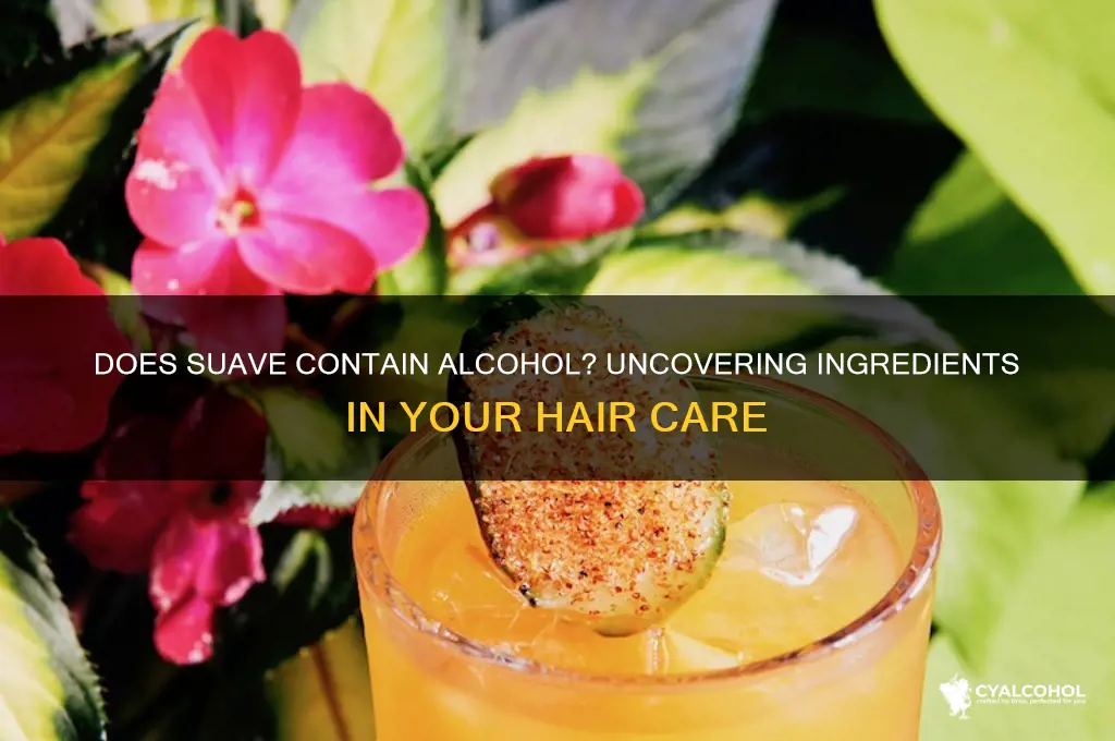 Does Suave Contain Alcohol? Uncovering Ingredients In Your Hair Care ...