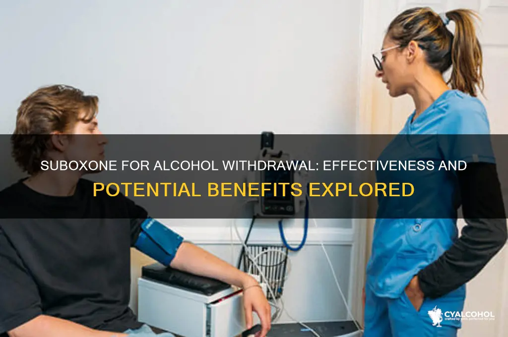 Suboxone For Alcohol Withdrawal: Effectiveness And Potential Benefits ...