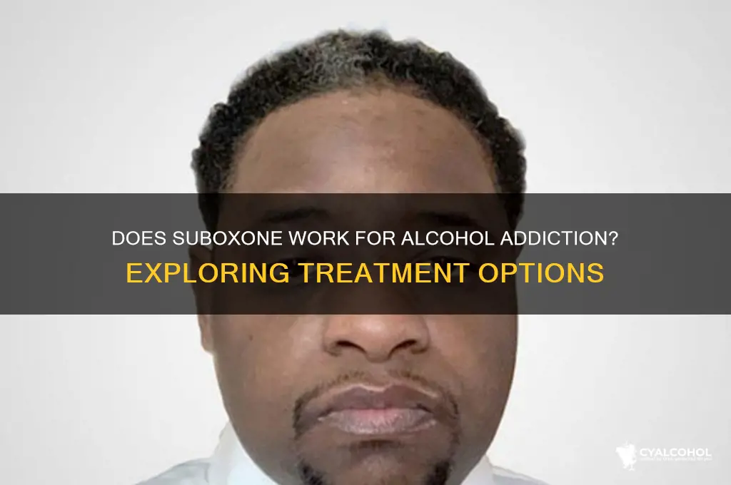 Does Suboxone Work For Alcohol Addiction? Exploring Treatment Options ...